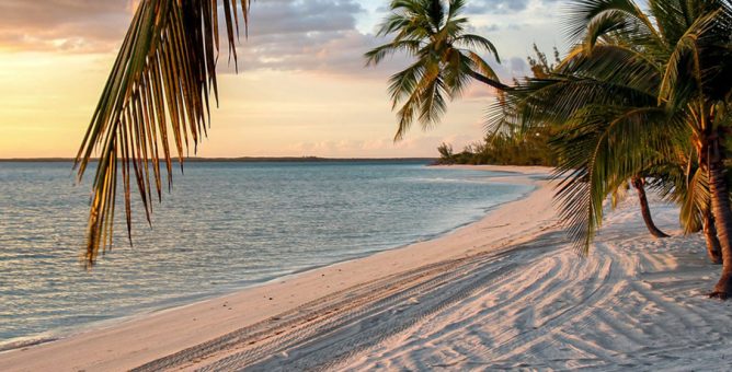 Get the Guide Before You Break | Spring Break Guide