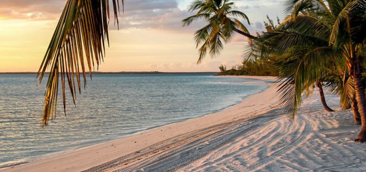 Get the Guide Before You Break | Spring Break Guide